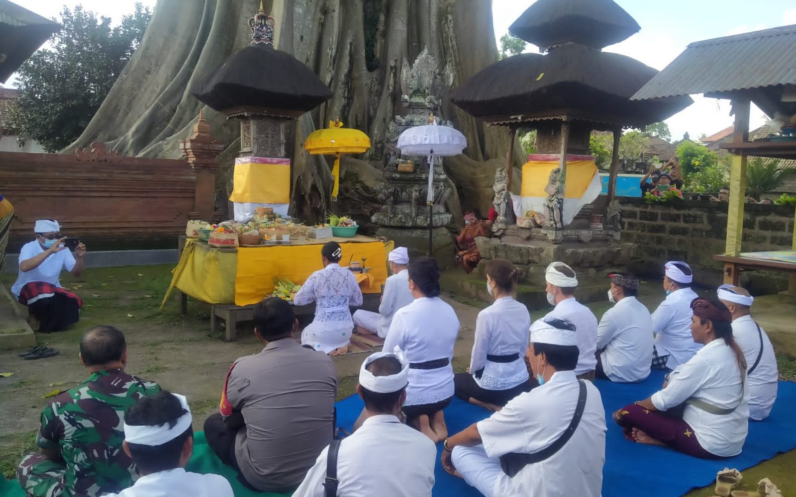 Usai Viral di Medsos, Bule Telanjang di Pohon Sakral Lakukan Upacara Guru Piduka – Lenteraesai.id